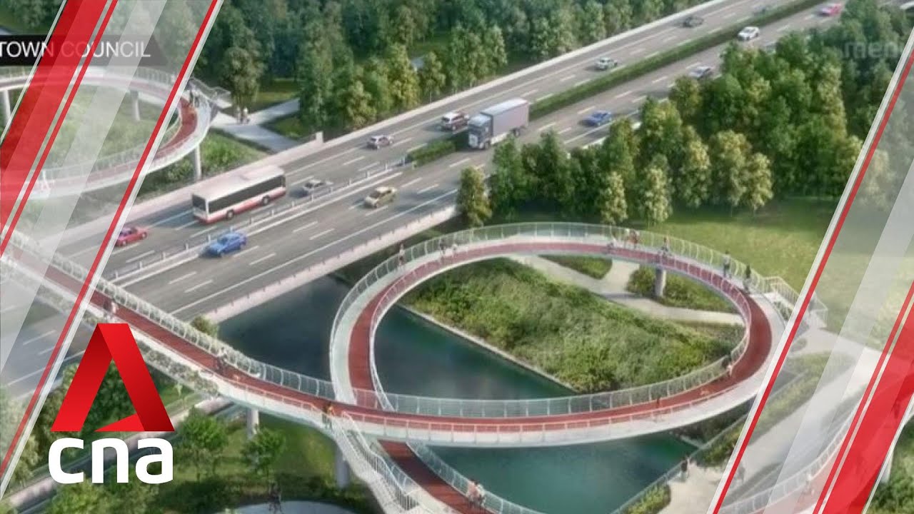 Tampines Town Council unveils 5-year masterplan - YouTube