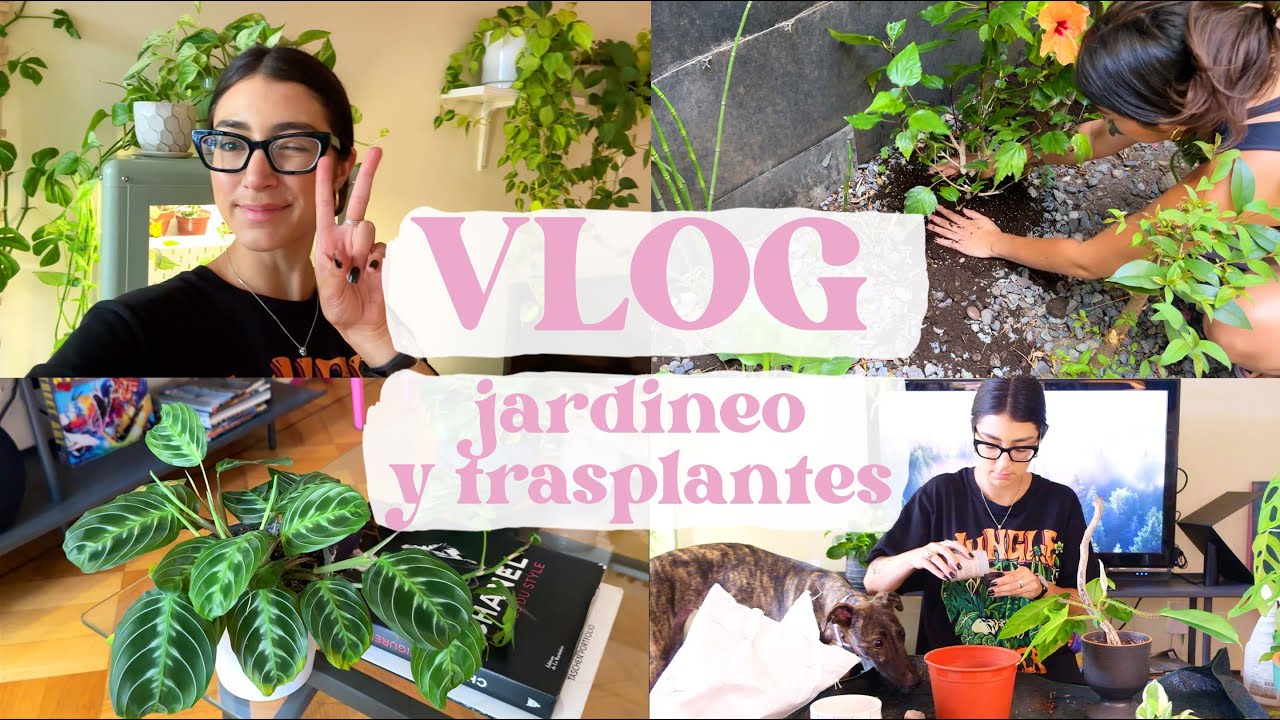 VLOG #10| Jardineo, trasplantes y haciendo esquejes 🏡 - YouTube