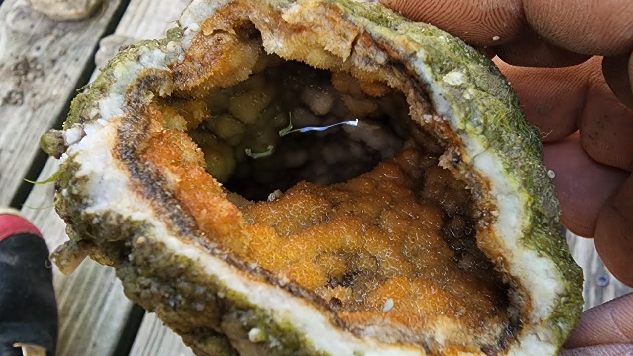 Geode hunting in creek - YouTube