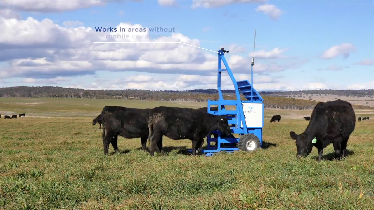 Optiweigh - 55sec Video-18mb - YouTube