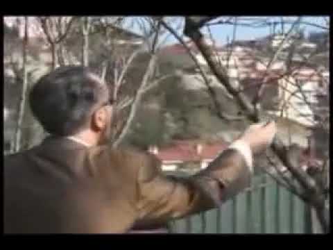 ALMAN ART KANALININ ADNAN OKTAR ILE YAPTIGI ROPORTAJ