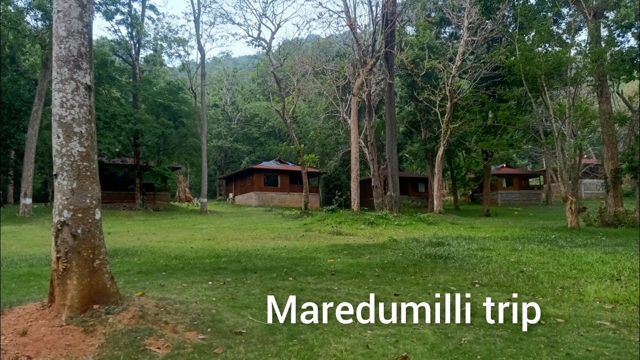 maredumilli trip|| the woods resort maredumilli// enjoy the trip ...