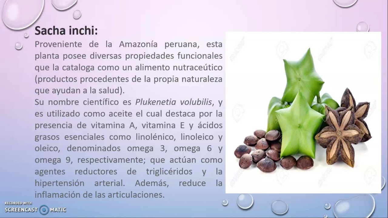 Plantas medicinales que ofrece el Perú. - YouTube