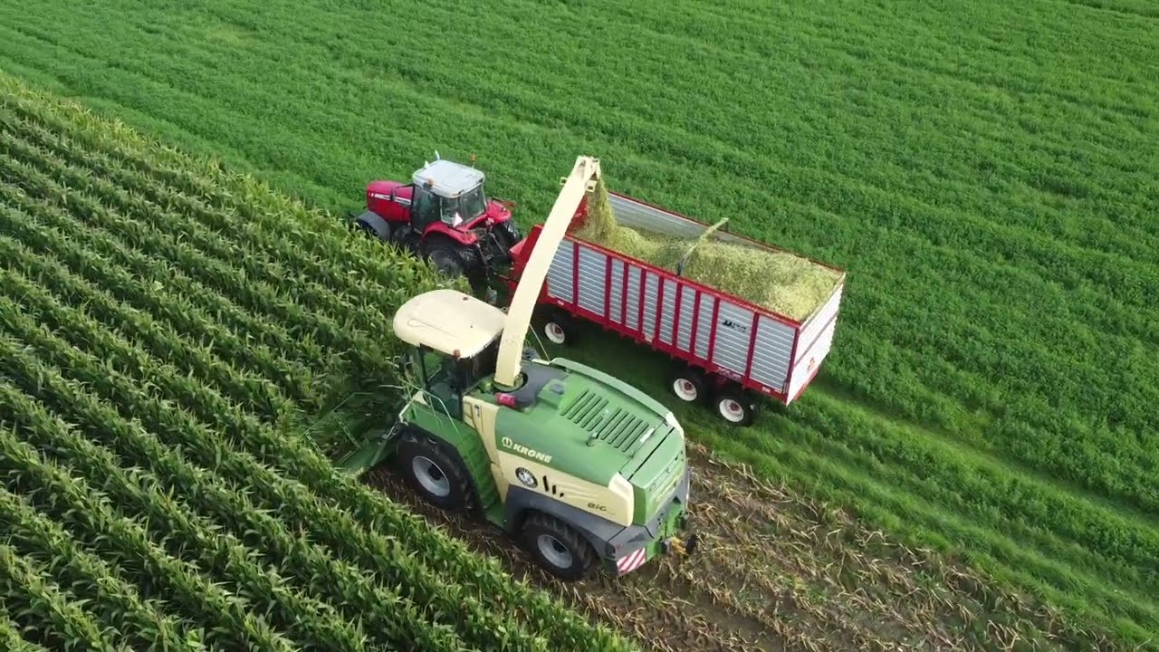 Ensilage de maïs / Dairy's corn silage - 2022/09/12 - YouTube