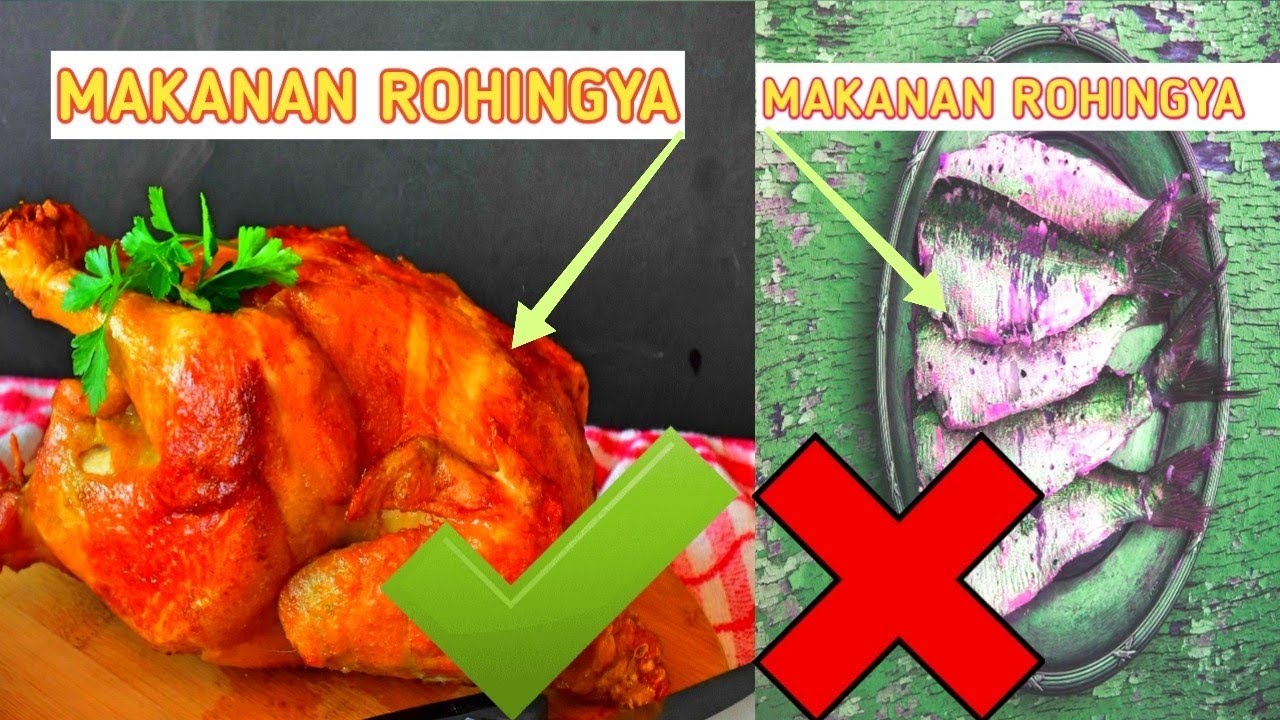 ROHINGYA, MAKAN MEWAH, DAN 4 SEHAT 5 SEMPURNA - YouTube