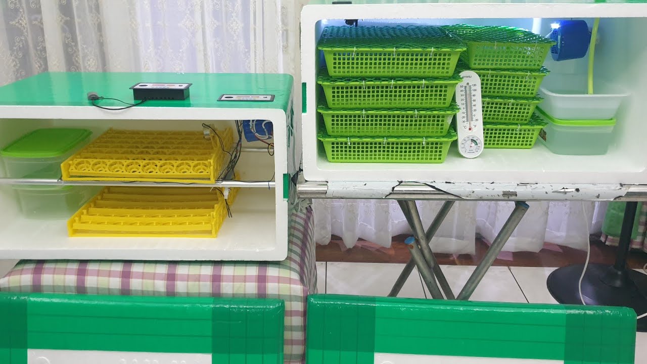 Part 2 DIY incubator Hatcher - YouTube