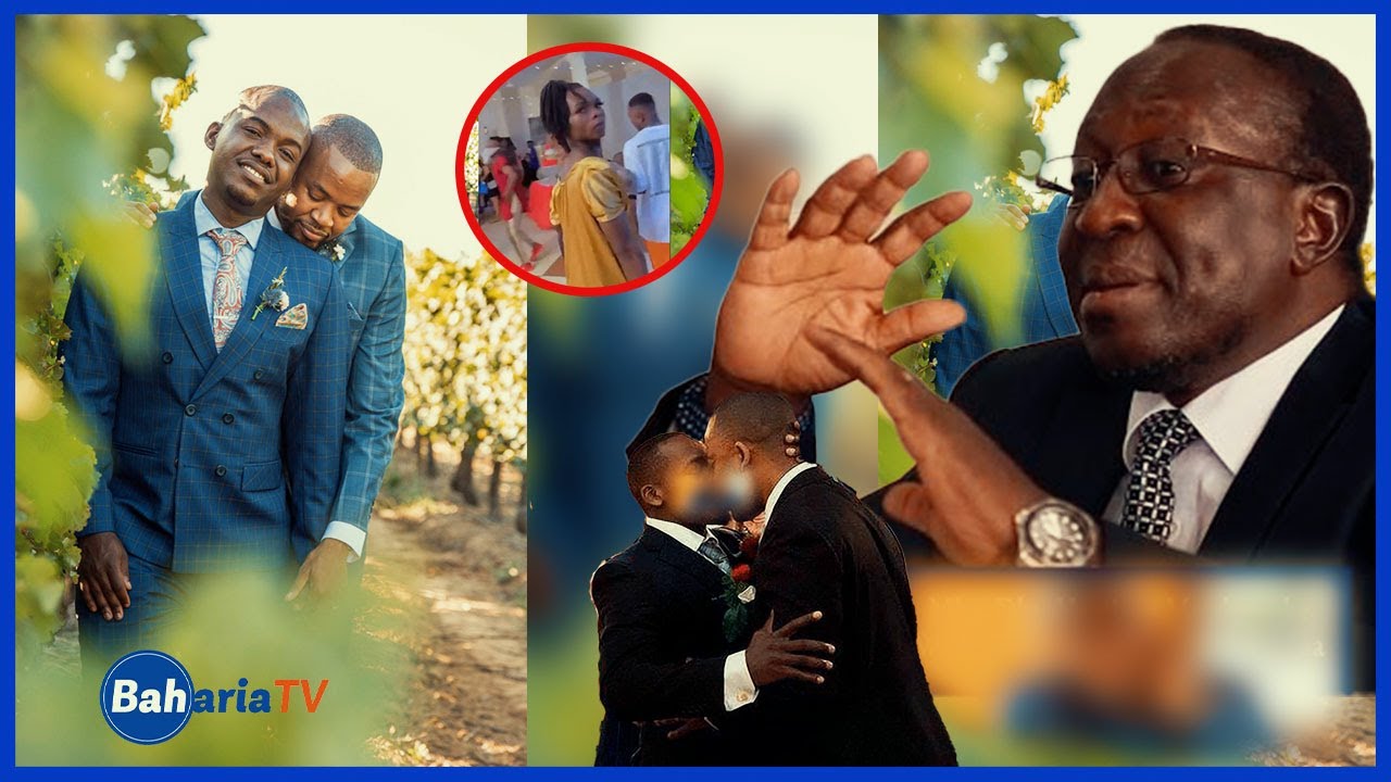 USHOGA UPO WA AINA HIZI 3/HII NI AIBU KUBWA/ MASHOGA WANASWA WAKICHEZA ...