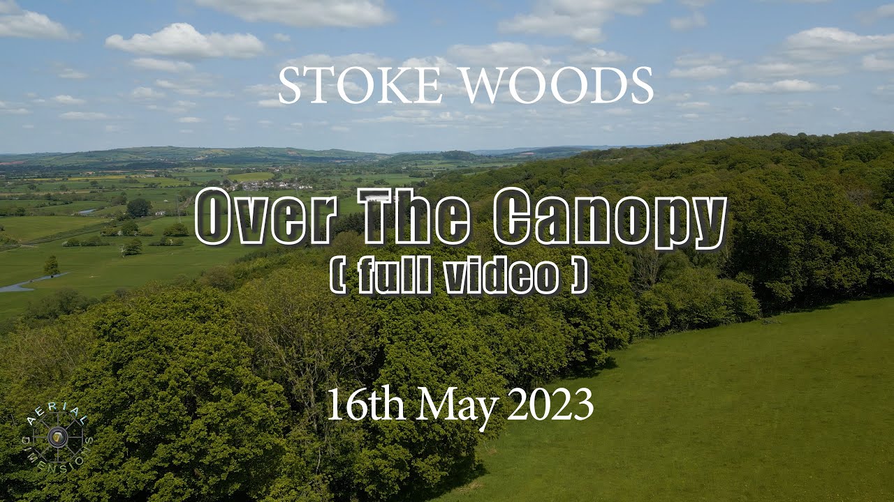STOKE WOODS (full video, May 16th, 2023) - YouTube