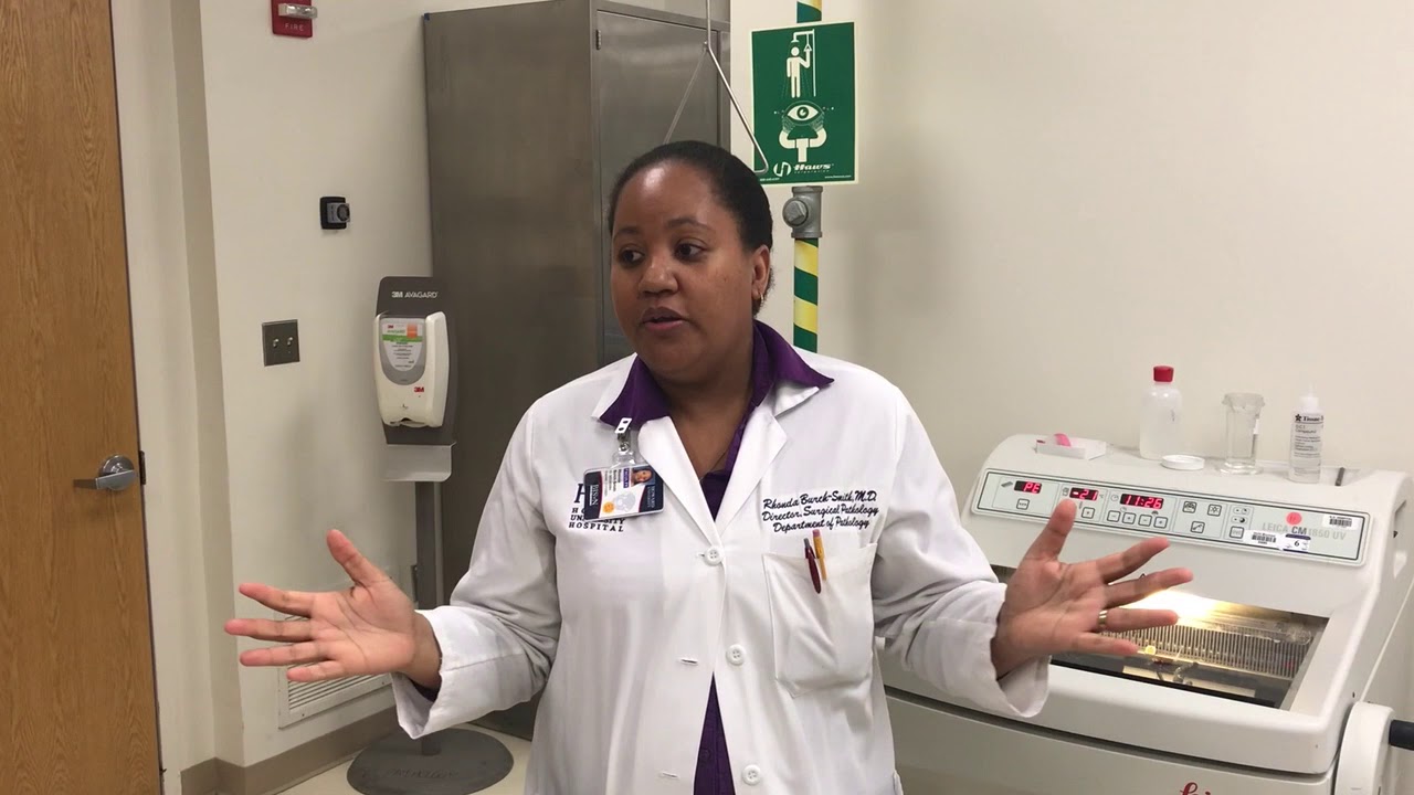 Introduction to the pathology lab - YouTube