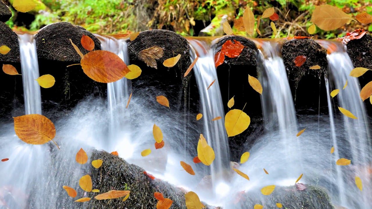 Peaceful Relaxing Instrumental Music, Meditation Soft Music "Autumn ...