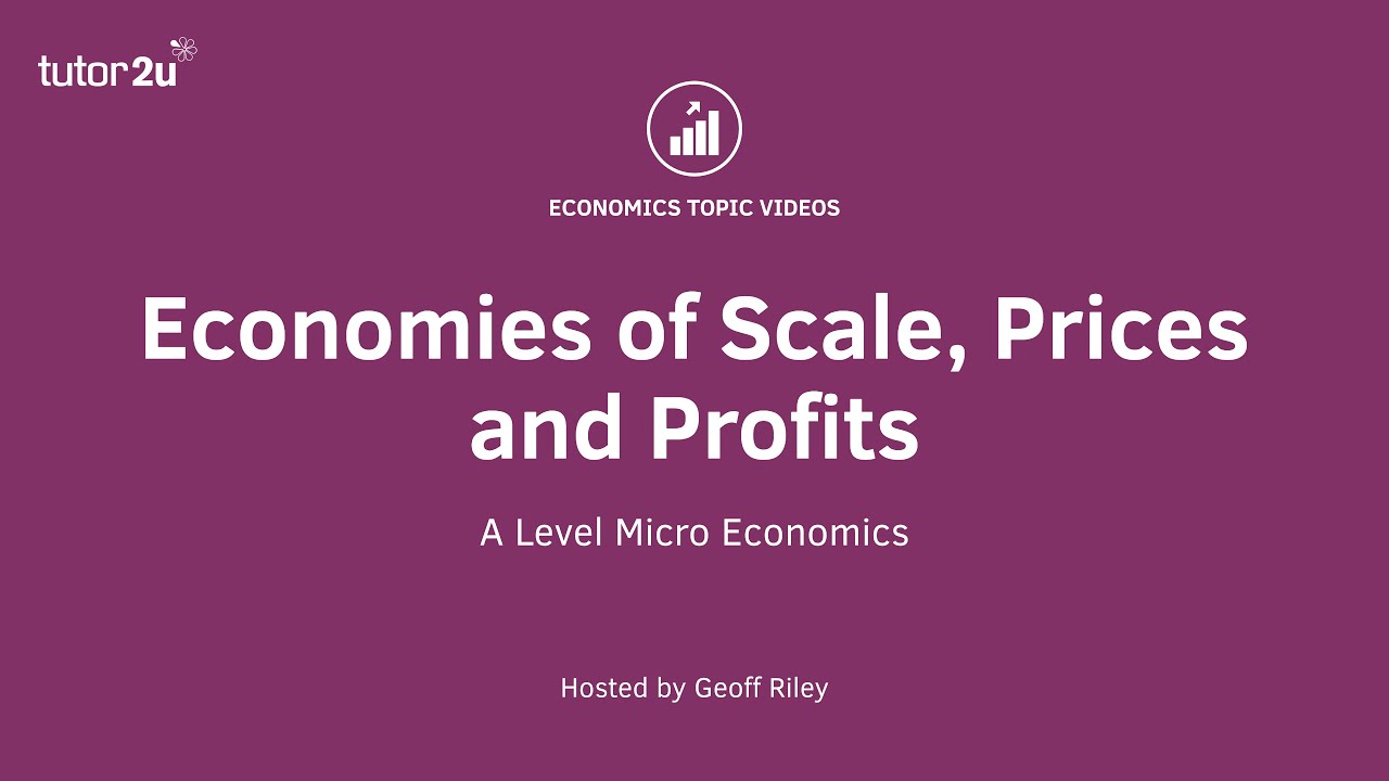 Economies of Scale - Prices and Profits I A Level and IB Economics ...