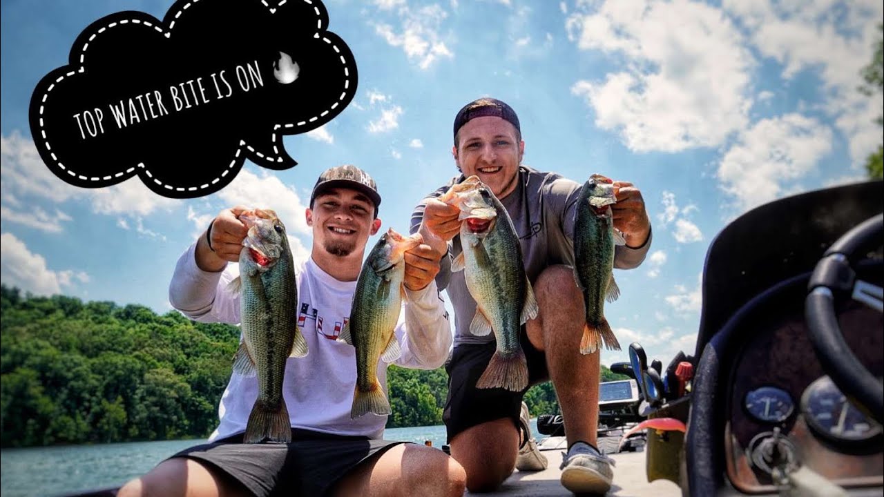 Insane top water bite on Lake Cumberland - YouTube
