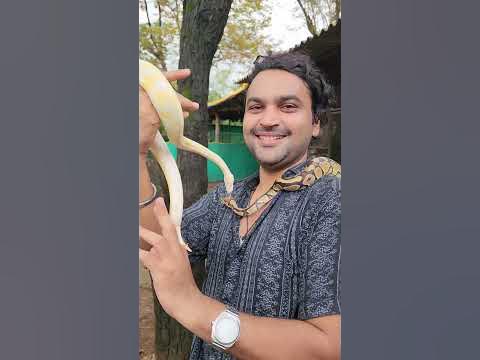 Animal Lover_Horse Riding_Python #animals - YouTube