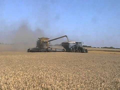 Caterpillar Lexion 595R Combine - YouTube