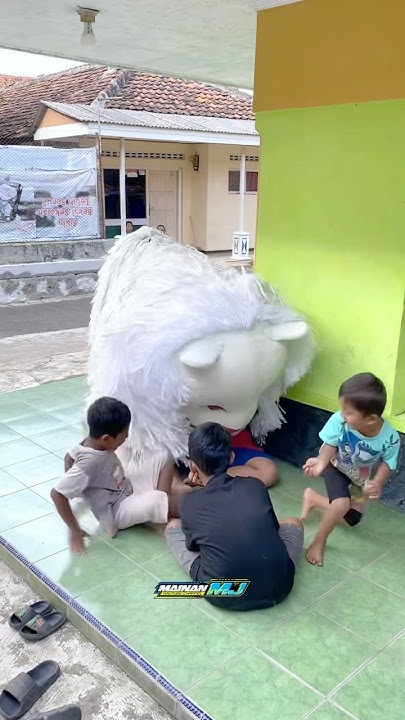 Empat bocil ini kaget ada Can Macanan ️yang lain kabur si GEMOY di gigit Can Macanan - YouTube