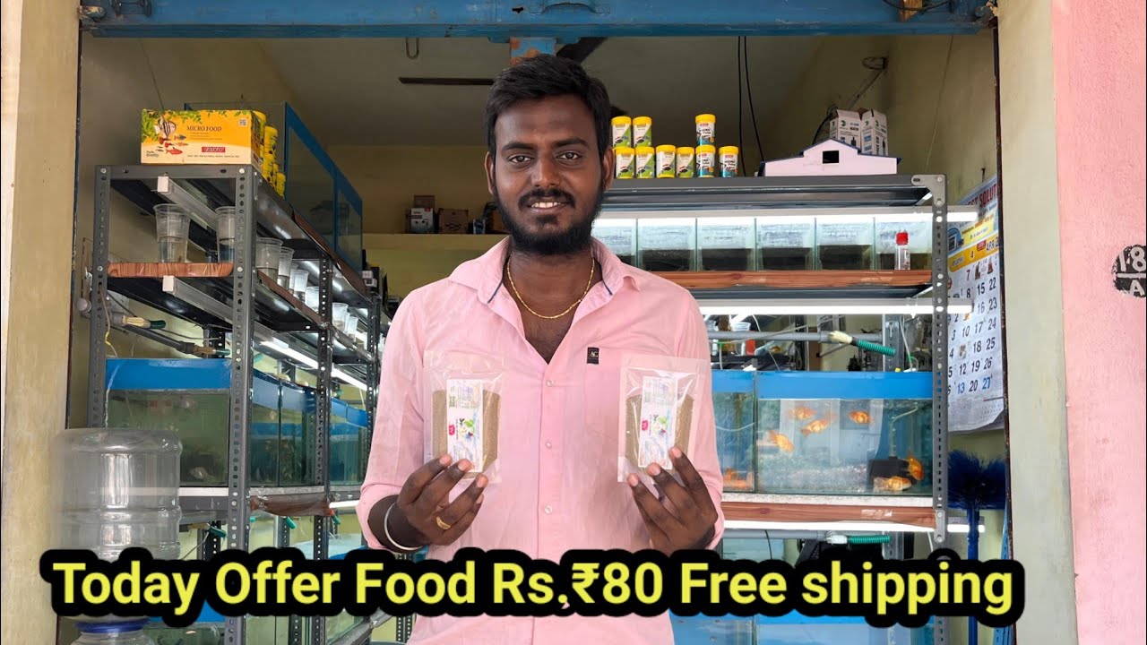 Today Offer Food Rs.₹80 Free shipping|All Over India|Thank You|#ajlpets ...