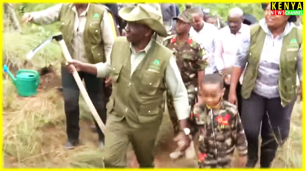 LIVE - Ruto leads National Tree Planting Day at Kiambicho Forest ...