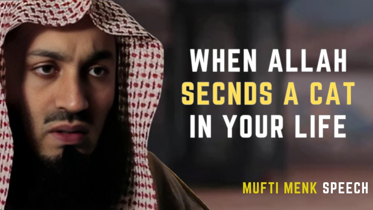 If a Cat Comes Close to You, HERE ARE 7 MESSAGES FROM ALLAH | Powerful ...