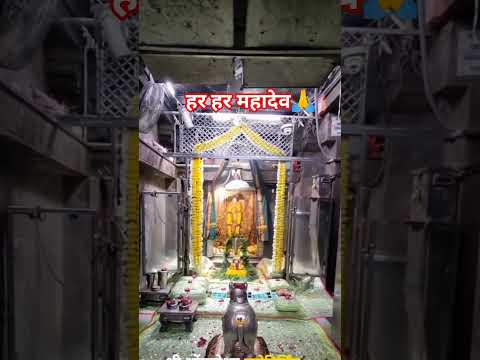 हर हर महादेव🙏#viralvideo#yunica #shortvideo #trending #ytshorts #🙏🌺🌺🌺🌺#