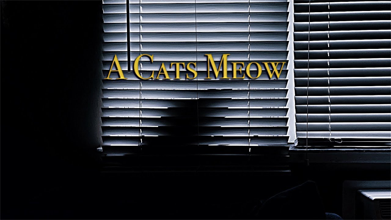 A Cats Meow | Short Horror Film - YouTube