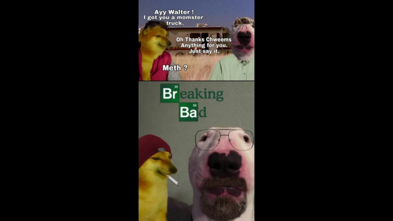 Walter the dog epic memes - YouTube