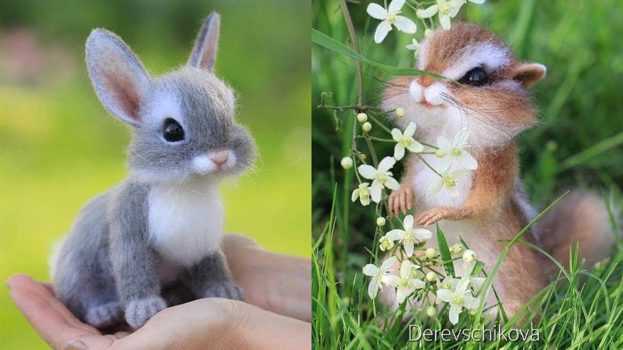 ️ Cute Animals Compilation #4 ️ - YouTube