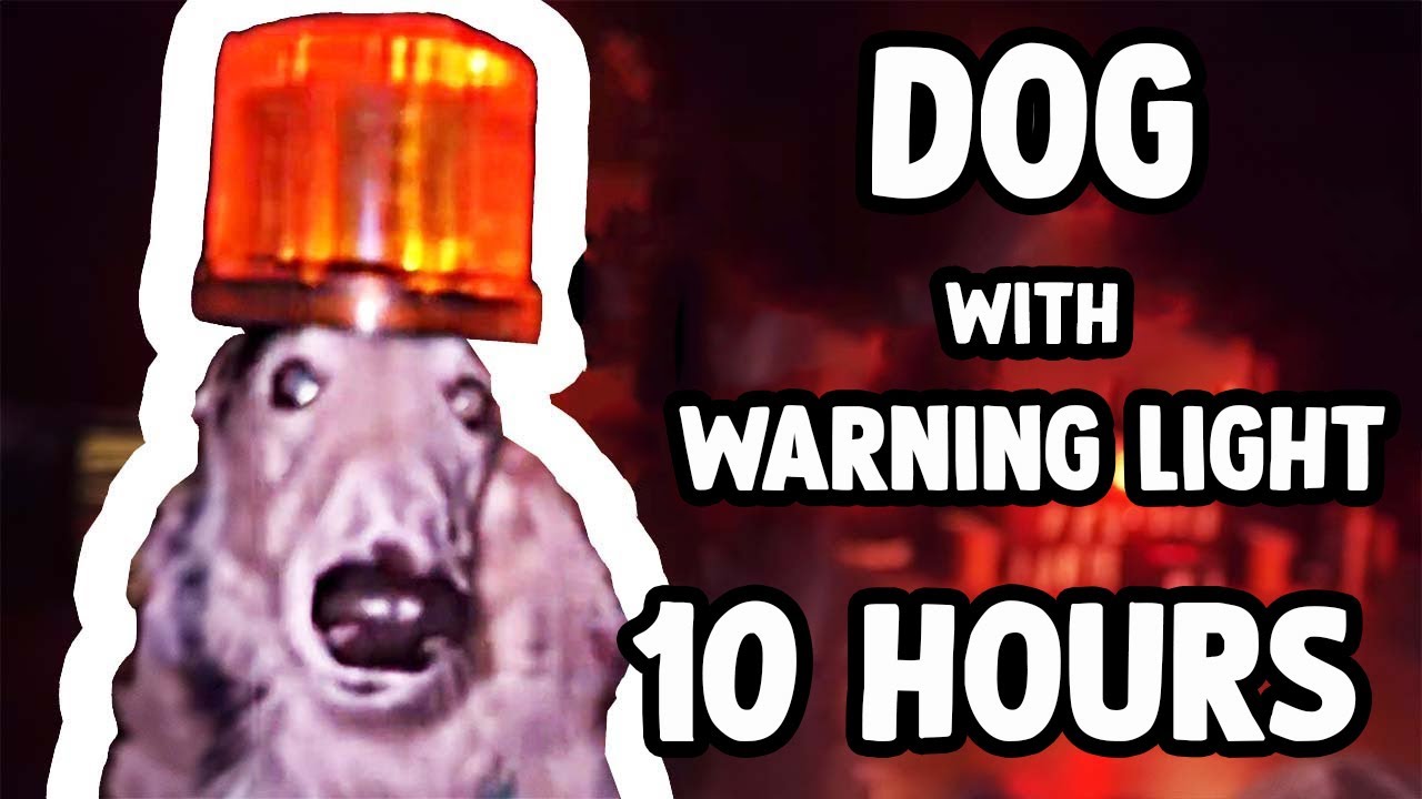 Dog with Warning Light 10 hours - YouTube