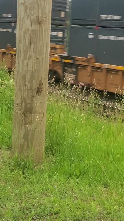 csx short train#csx - YouTube