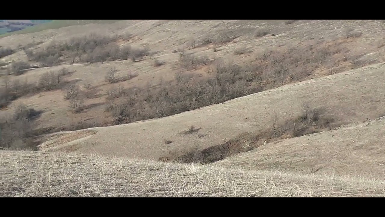 valdet ademi lov zeca - YouTube