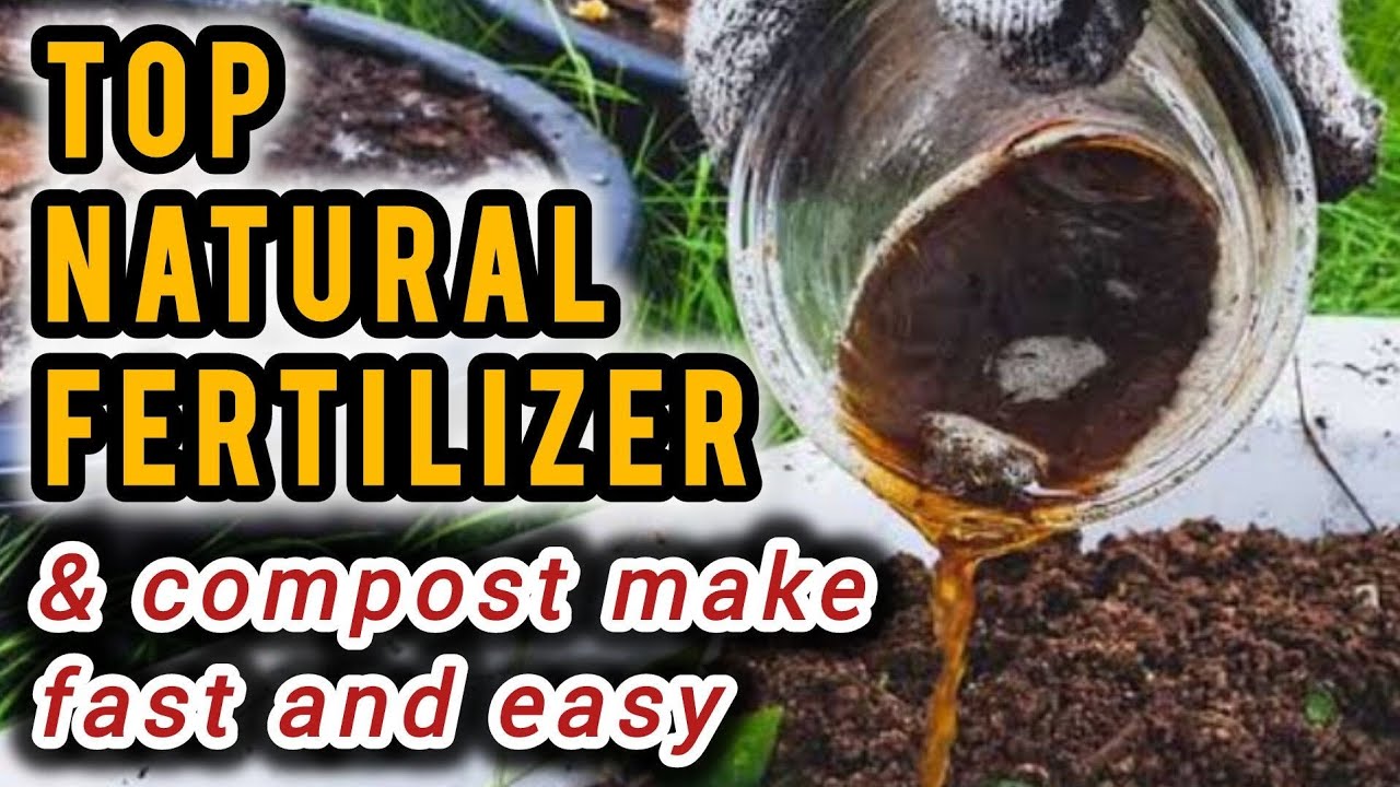 how to make compost from sheep manure/ & home made fertilizer - YouTube