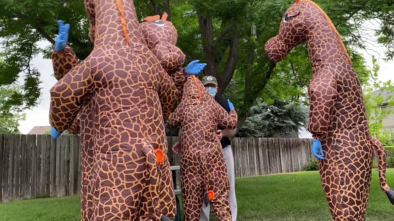 Hugs from Giraffes - YouTube