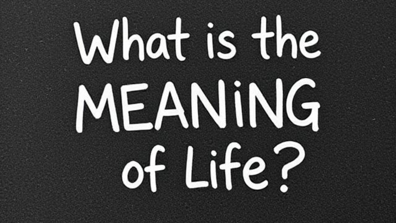 What Actually is the Meaning of Life? - YouTube