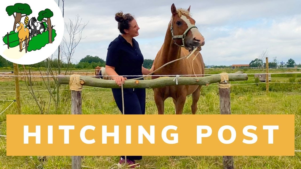 HOW TO build a HITCHING POST | Happy Horsemanship - YouTube