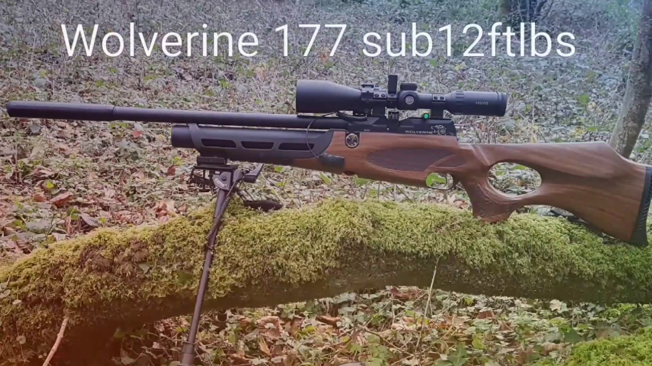 Rat shooting with the wolverine 177 - YouTube