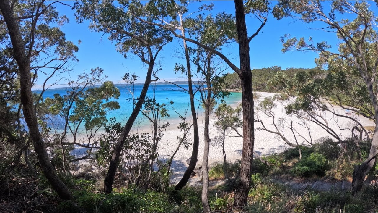 Jervis Bay for Bella's First bush walk - YouTube