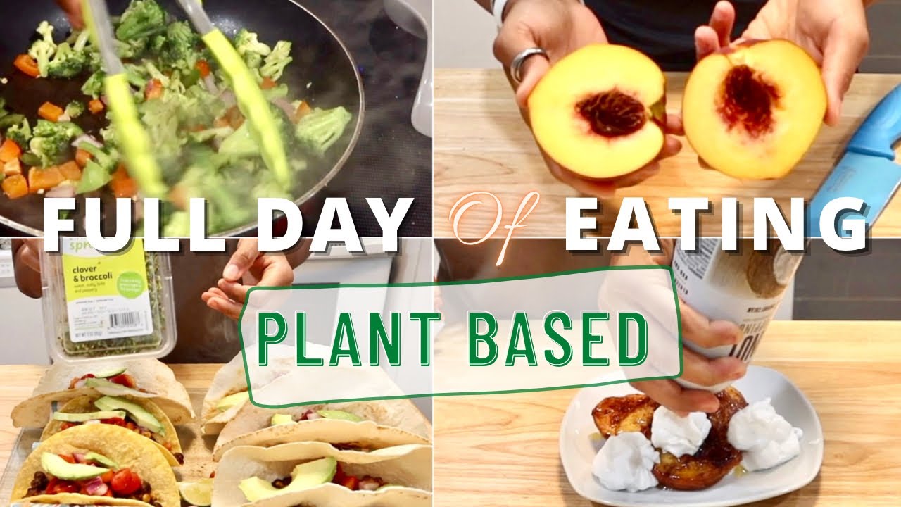 Full Day of Eating: PLANT BASED 🥬 - YouTube