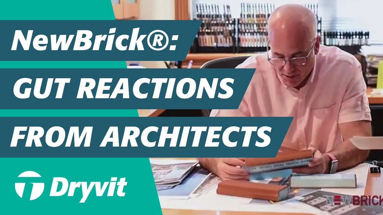 NewBrick - Gut Reactions - YouTube