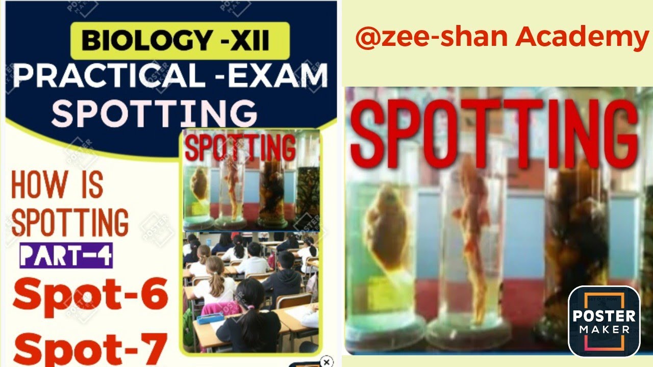 Class 12 biology practical| spotting 2022-23 | how to do SPOTTING - YouTube