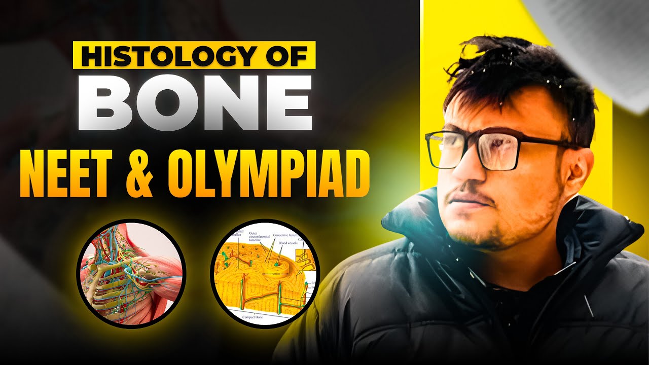 HISTOLOGY OF BONE| NEET| OLYMPIAD - YouTube