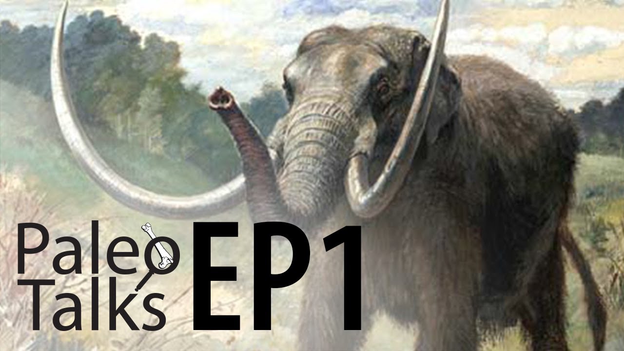 Early Mastodons of North America [Paleo Talks EP1] - YouTube