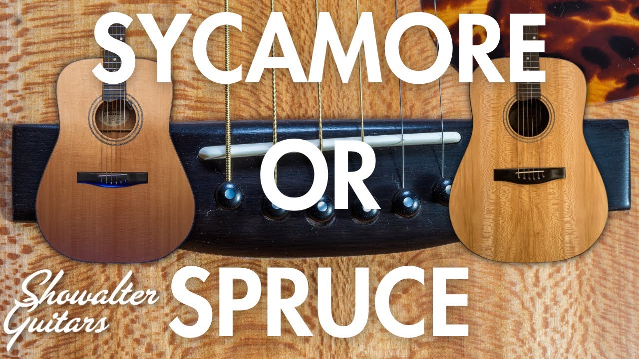 Can you hear the difference between SPRUCE and SYCAMORE? Featuring ...