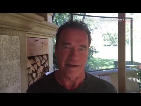 Schwarzenegger responds to Trump