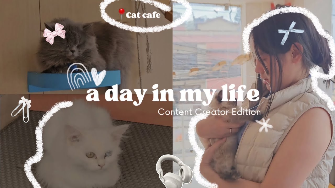 A day in my life as a content creator | cat cafe, meeting ๋࣭ ⭑⚝ - YouTube
