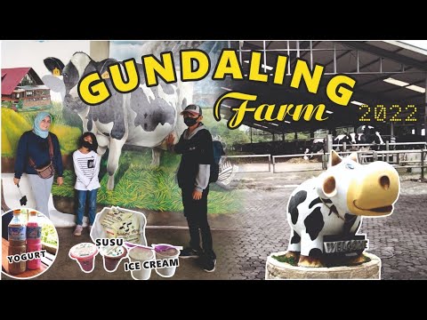 GUNDALING FARM - Tempat penghasil dan membeli susu, yogurt, keju & ice ...