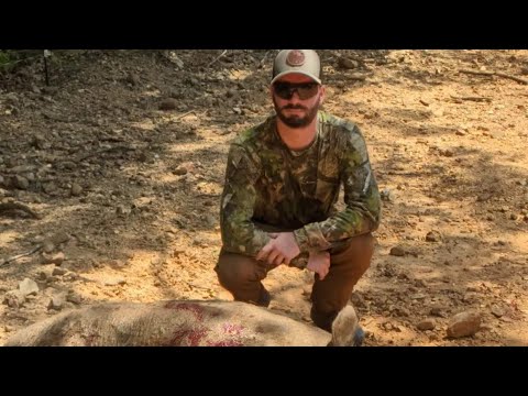 Hog Hunting at High Adventure Ranch TBLO Podcast 43 - YouTube