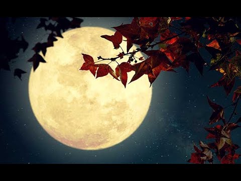November Full Moon - YouTube