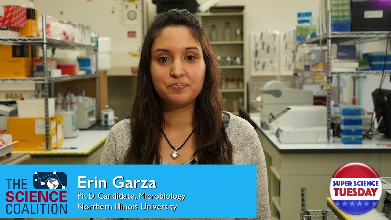 Erin Garza Northern Illinois University - YouTube