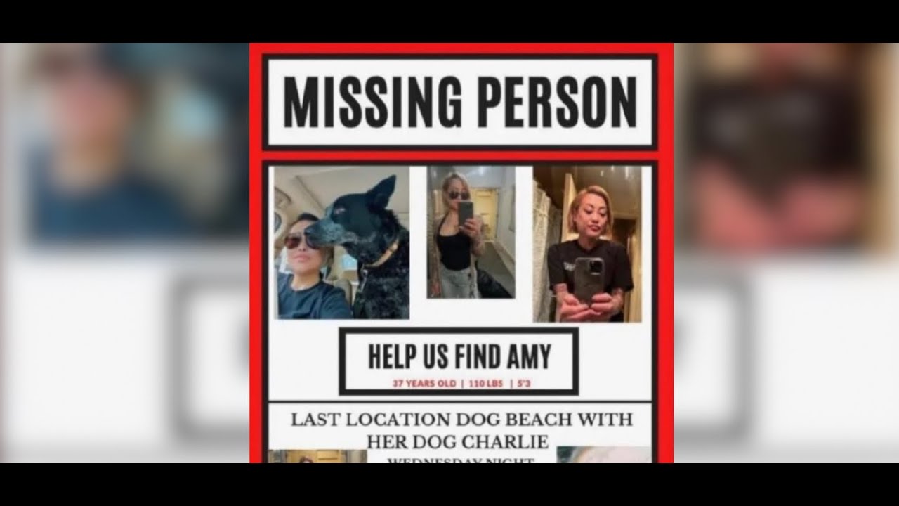 Help Find Amy - YouTube