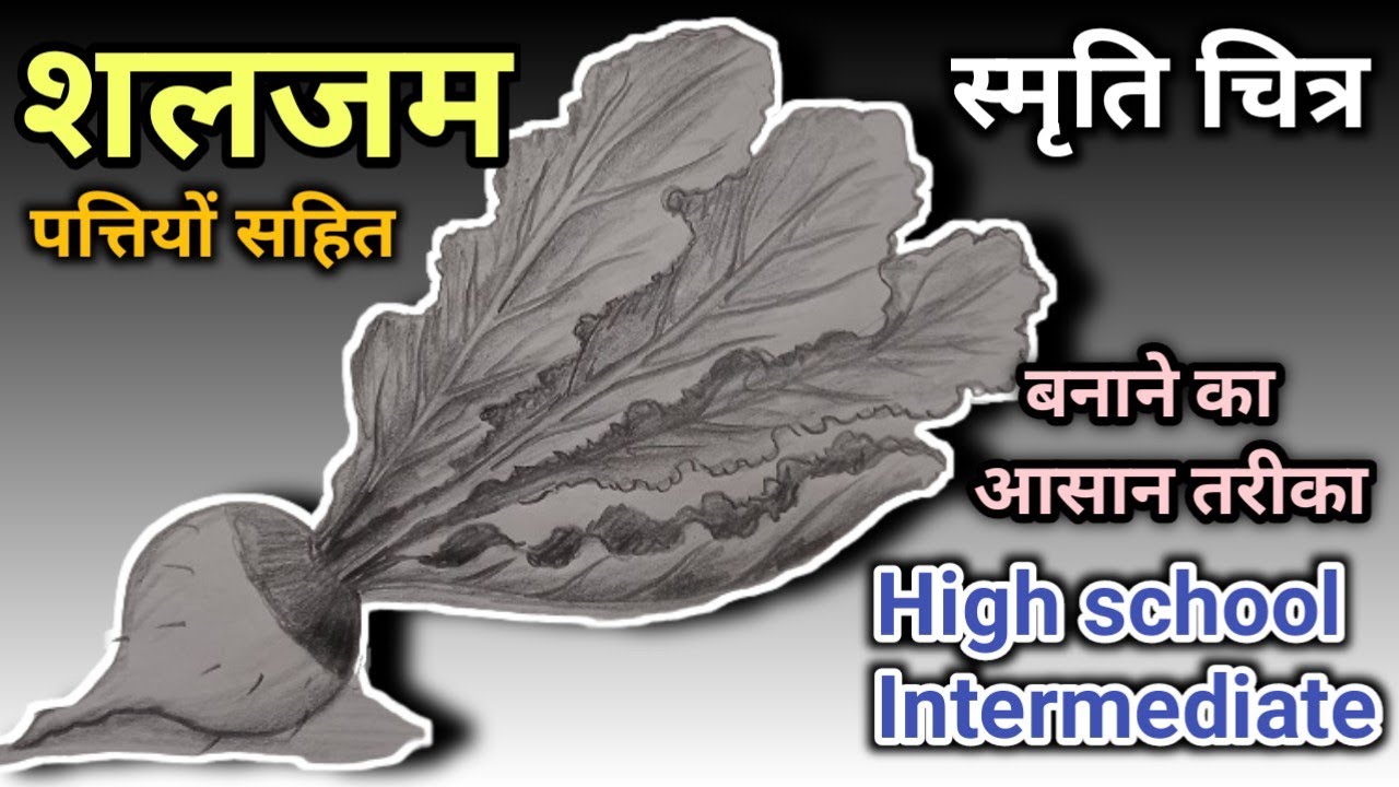 shalgam ka chitra // शलजम का चित्र// Drawing and shading of Turnip ...