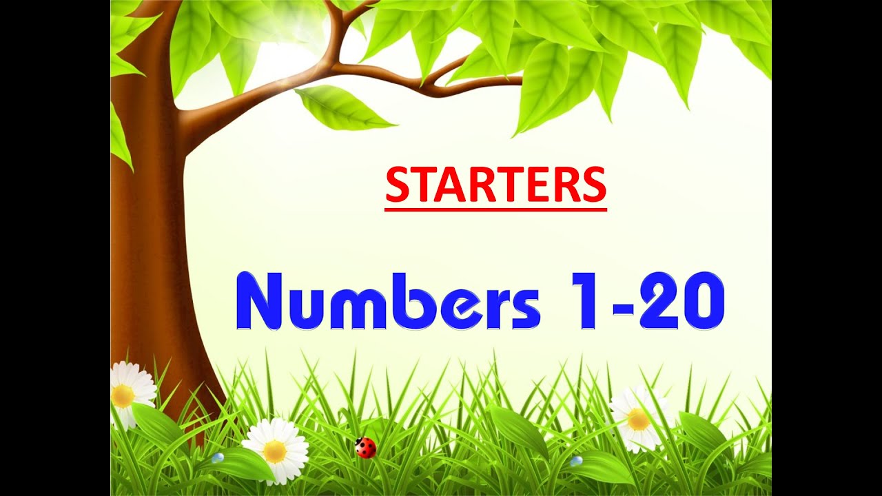 STARTERS_NUMBERS AND COLOURS ( link bài tập đính kèm) - YouTube